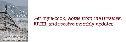 Marc Beaudin | Writings & Theatre